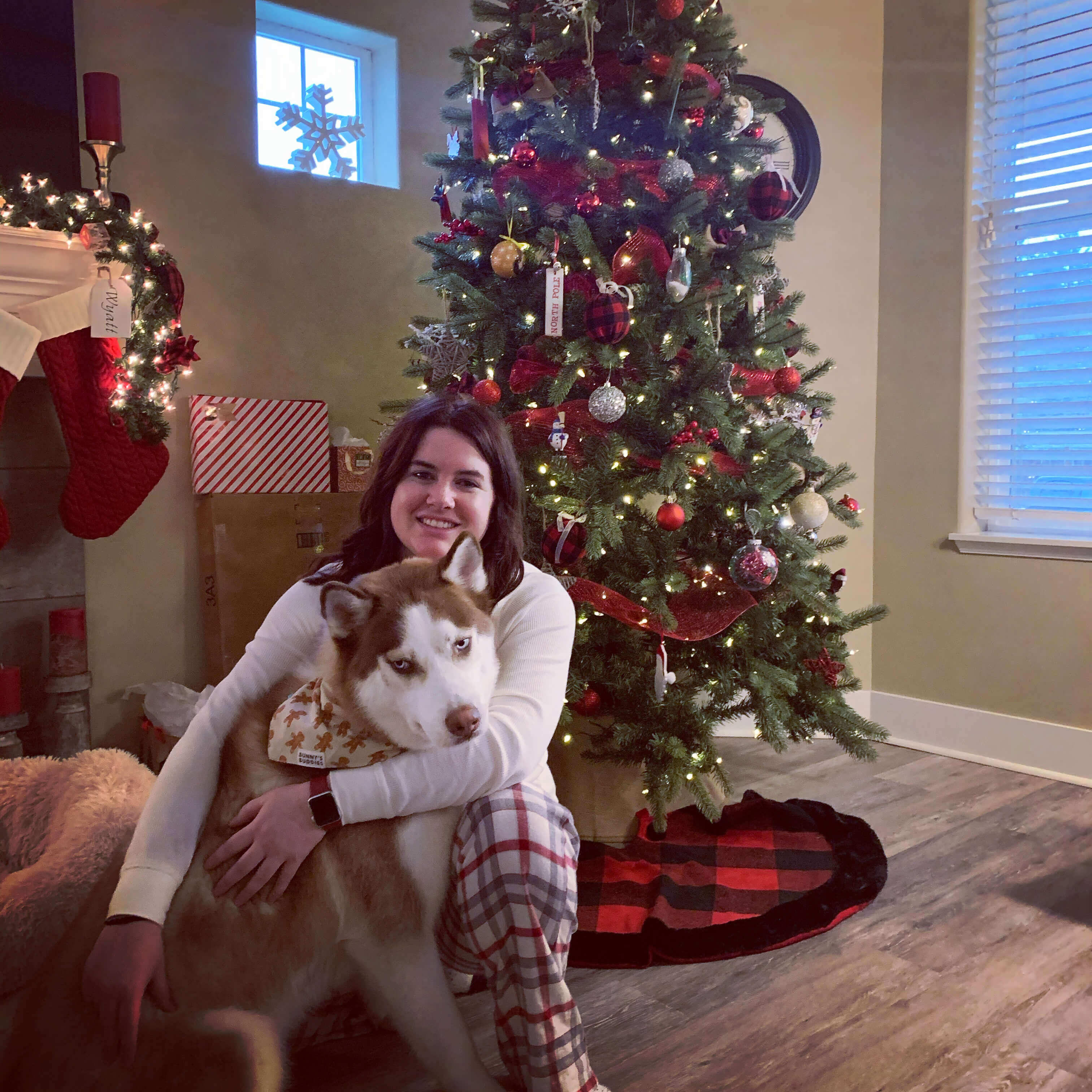 Wagmo.io | For affordable pet insurance and pet wellness plans